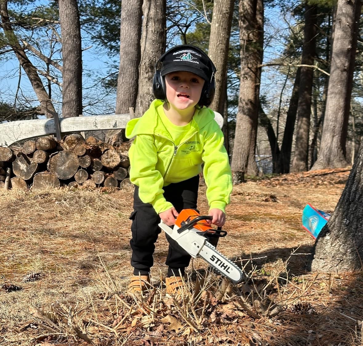 About – Morrison Tree & Landscape Services